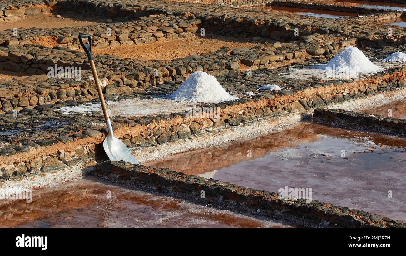 Salinas, salt production, museum, Fuerteventura, Canary Islands, Spain ...