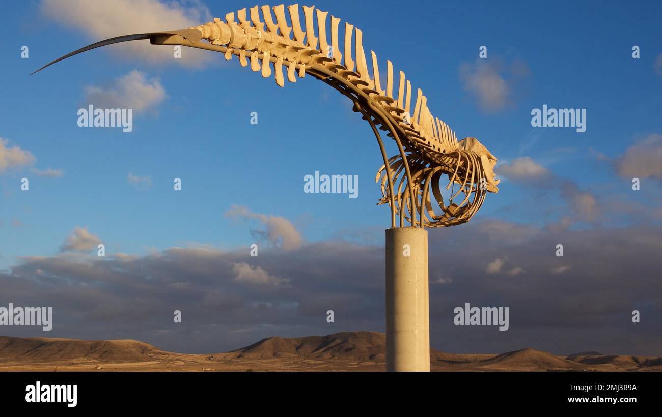 Whale skeleton, west coast, brown barren hills, blue sky, white clouds ...