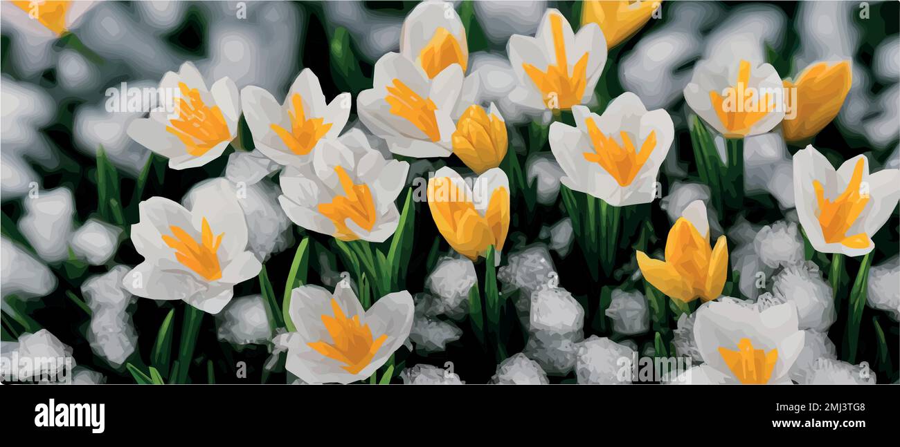 Frost flower detail Stock Vector Images - Alamy