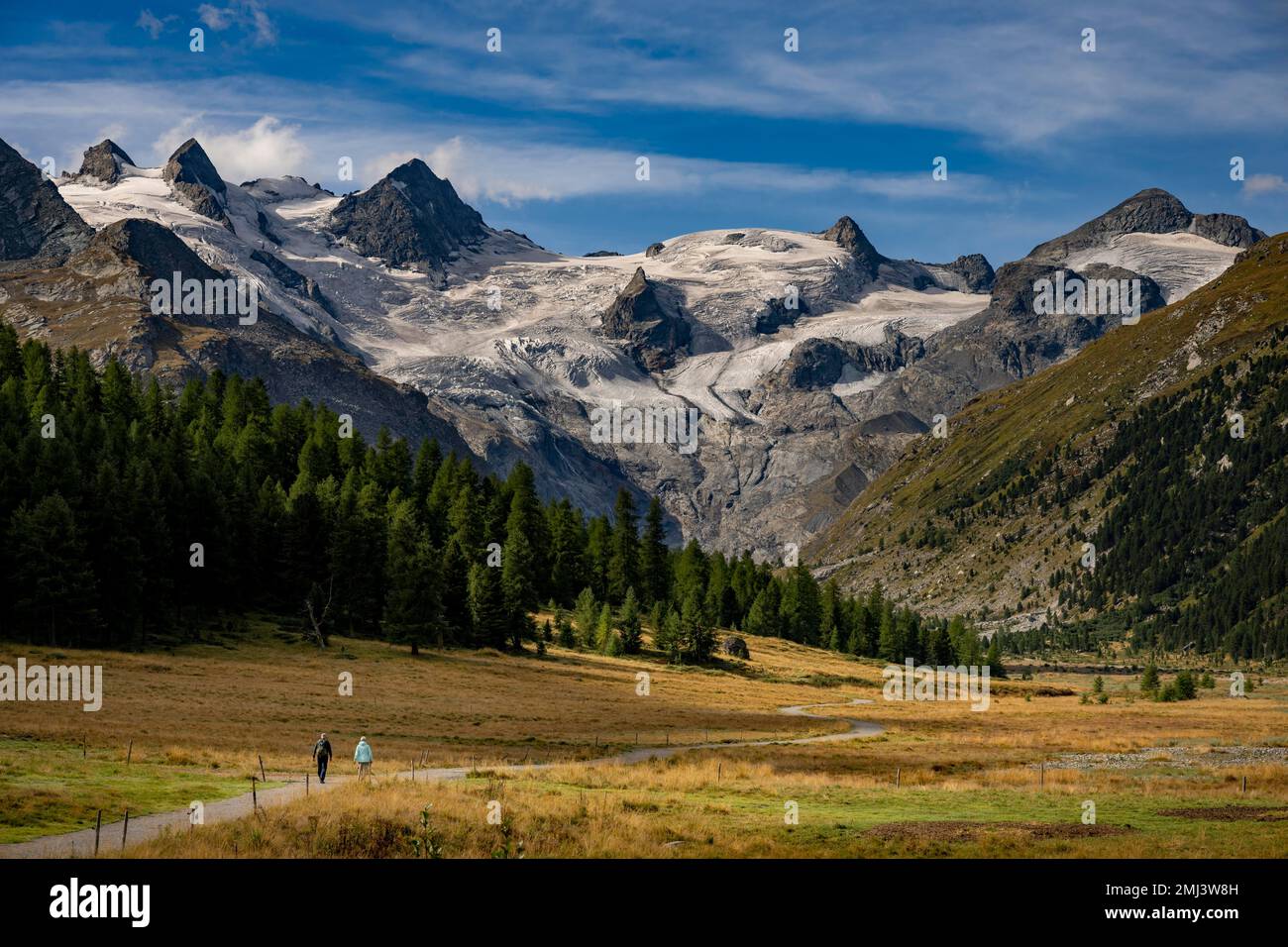 Val Rosegg with two walkers and Bernina Group, St Moritz, Engadin ...