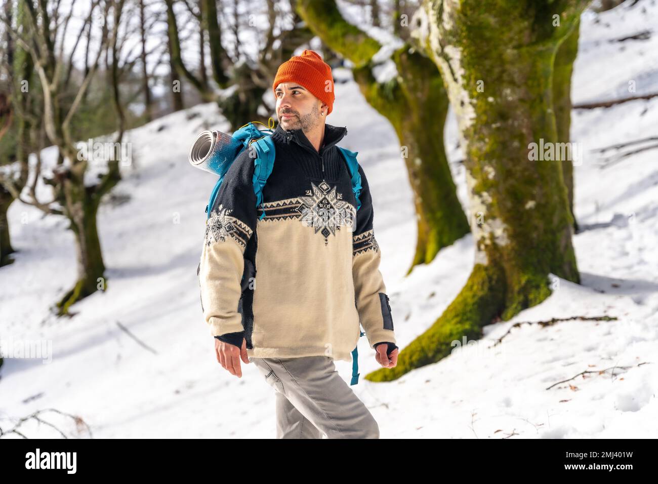 Hiker with backpack walking on a trekking on the snow, winter ...