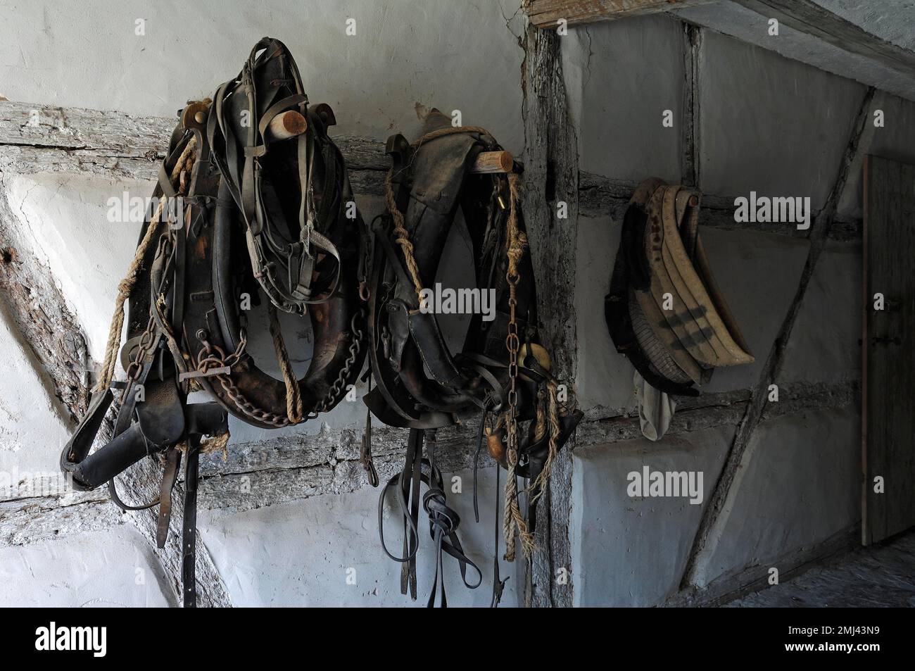 Old horse halter in the horse and cow stable, 1907, Franconian Open-Air ...