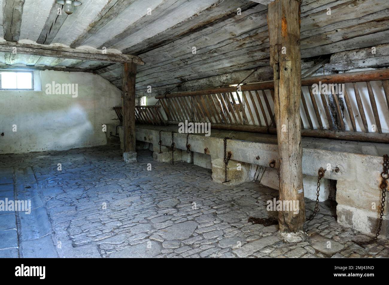 Cowshed, early 1900s, Franconian Open Air Museum, Bad Windsheim, Middle ...