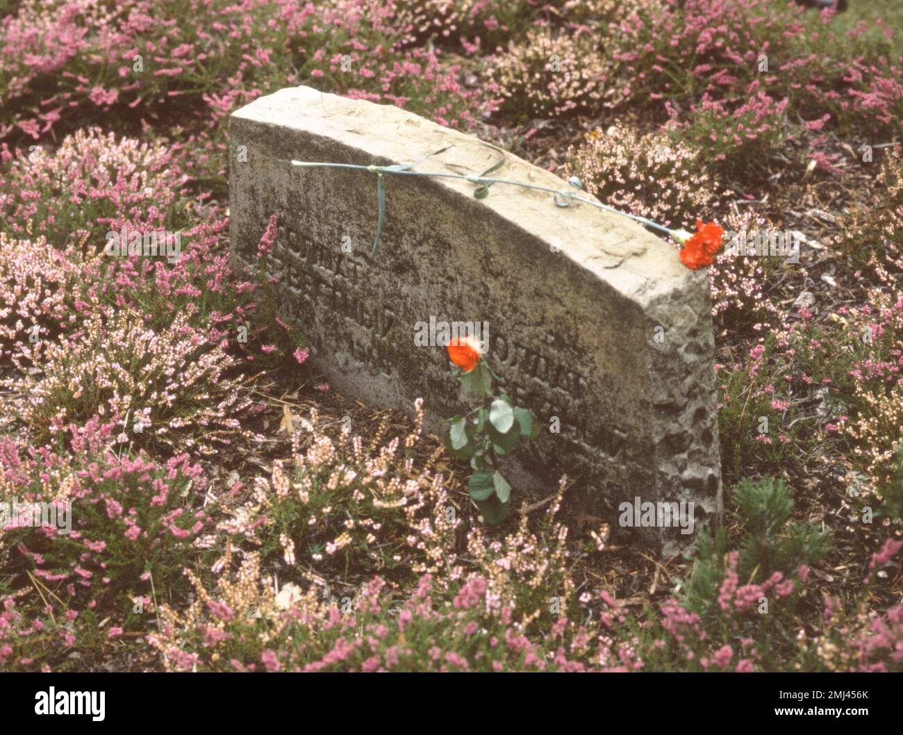 The burial and honouring of the Soviet war victims of the Nazi regime ...