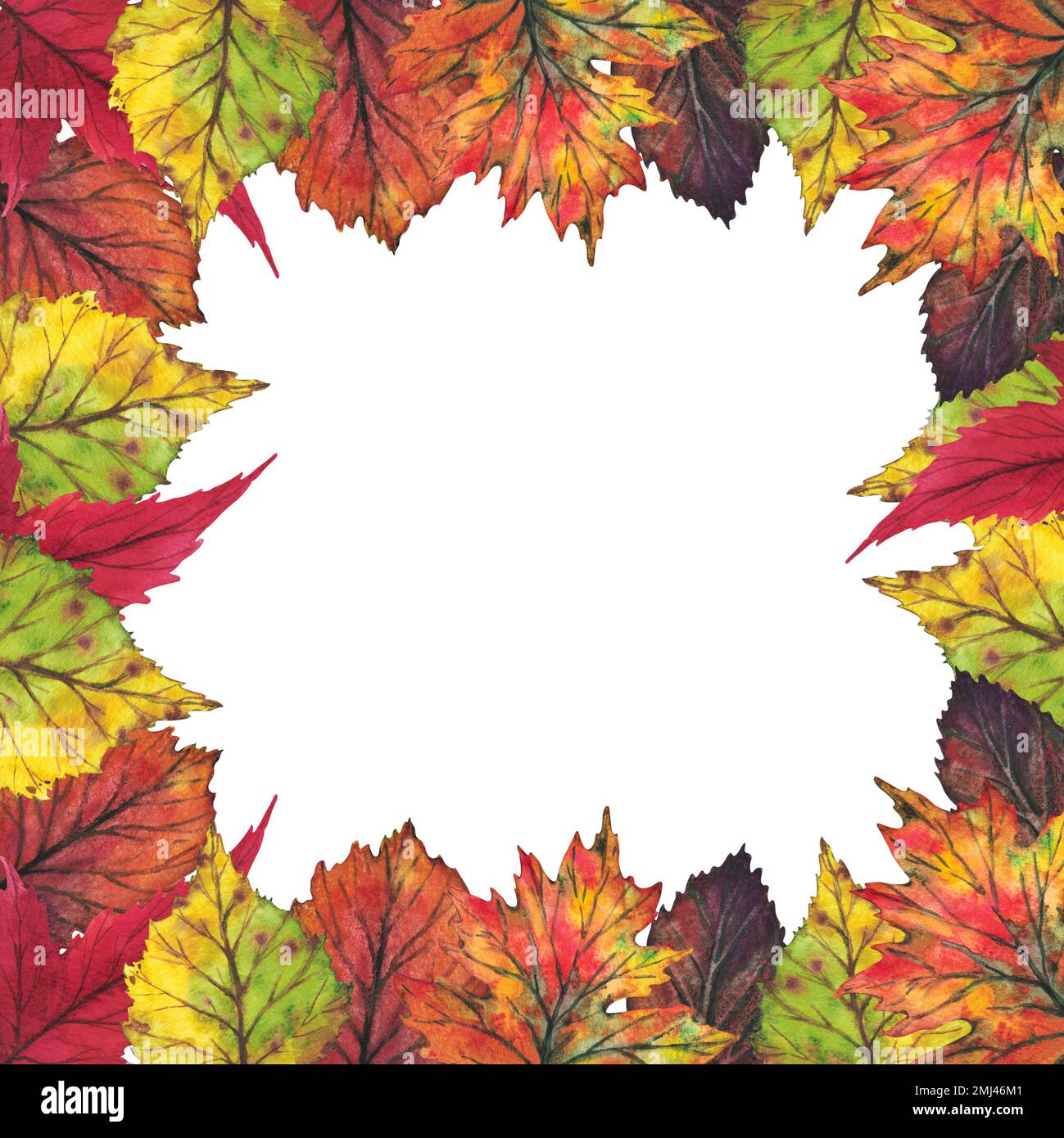 Autumn Leaves Border Clip Art