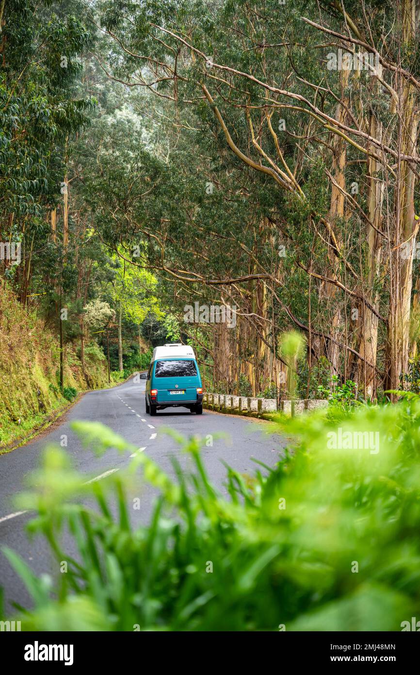 VW bus on a road in the forest, Madeira, Portugal Stock Photo - Alamy