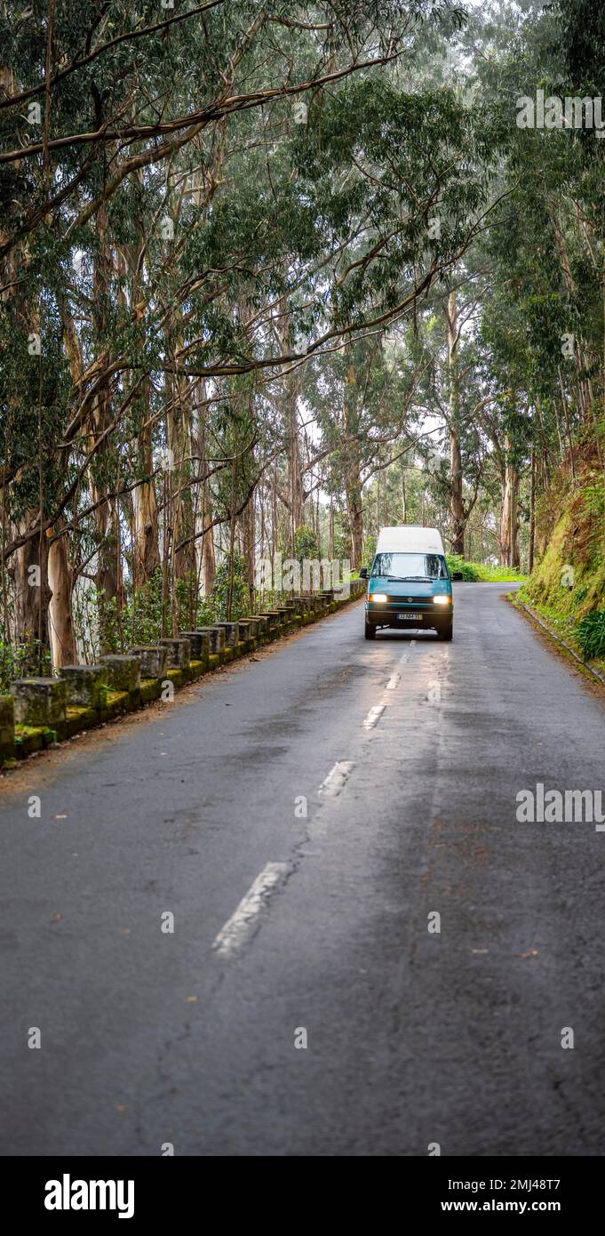 VW bus on a road in the forest, Madeira, Portugal Stock Photo - Alamy