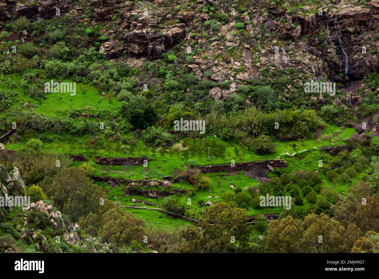 Landscape of Barranco del Sao in Valle de Agaete, Spain Stock Photo - Alamy