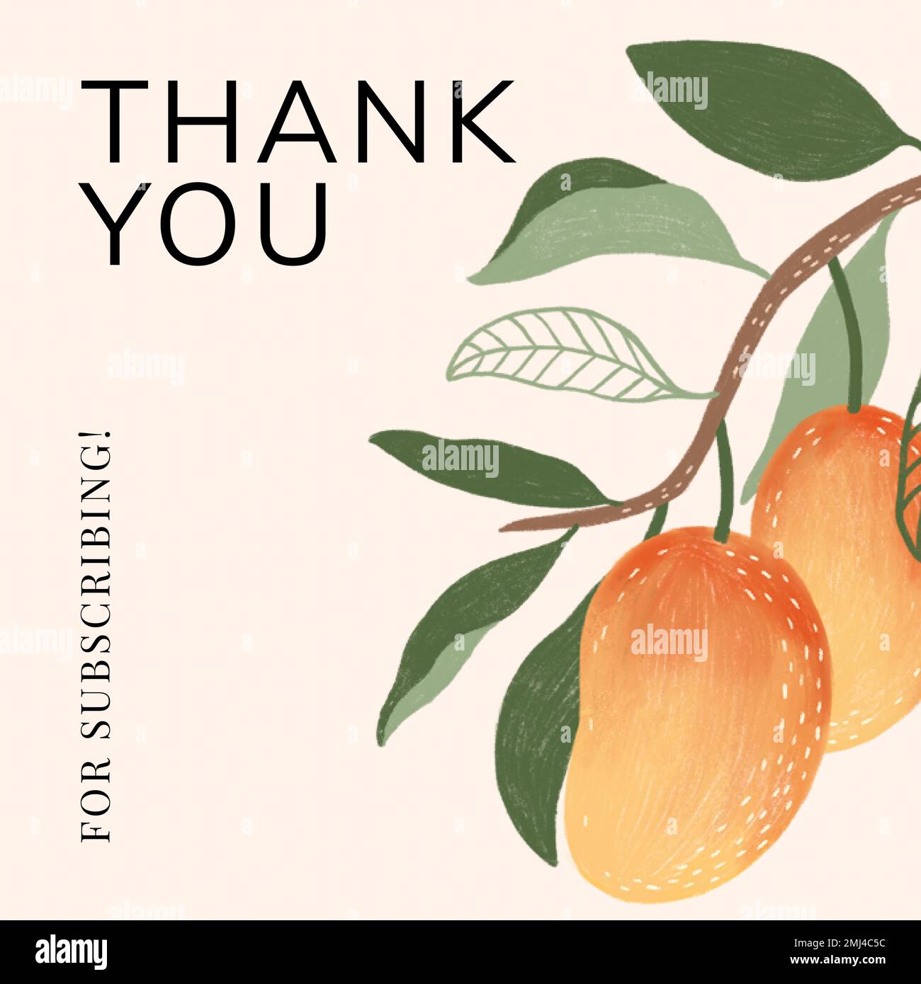 Summer floral thank you for subscribing social template vector Stock ...