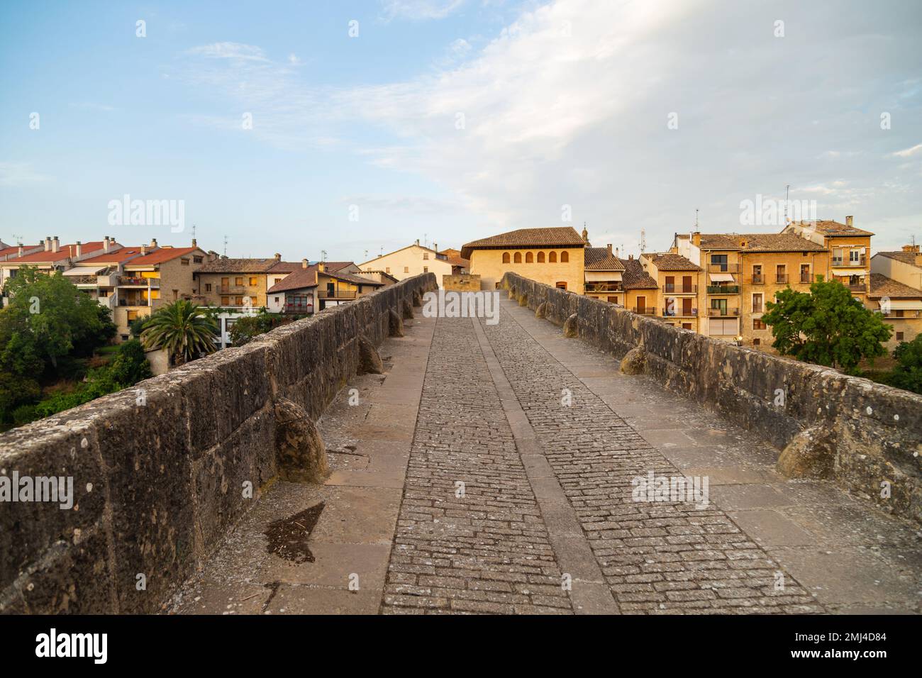 Puente la Reina (Bridge of the Queen) bridge over the Arga river ...