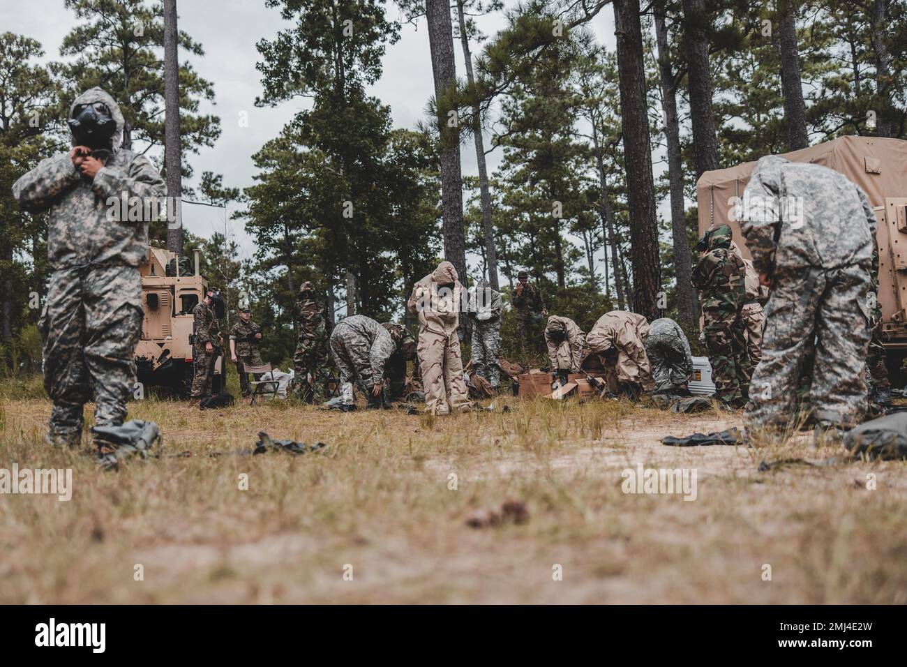 U.S. Marines with Combat Logistics Battalion (CLB) 22, Combat Logistics ...