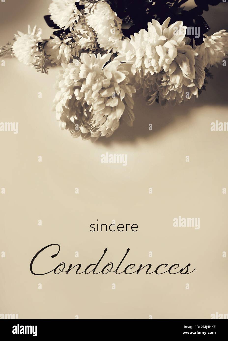 Condolence card with chrysanthemum flowerssorrowful Stock Photo - Alamy