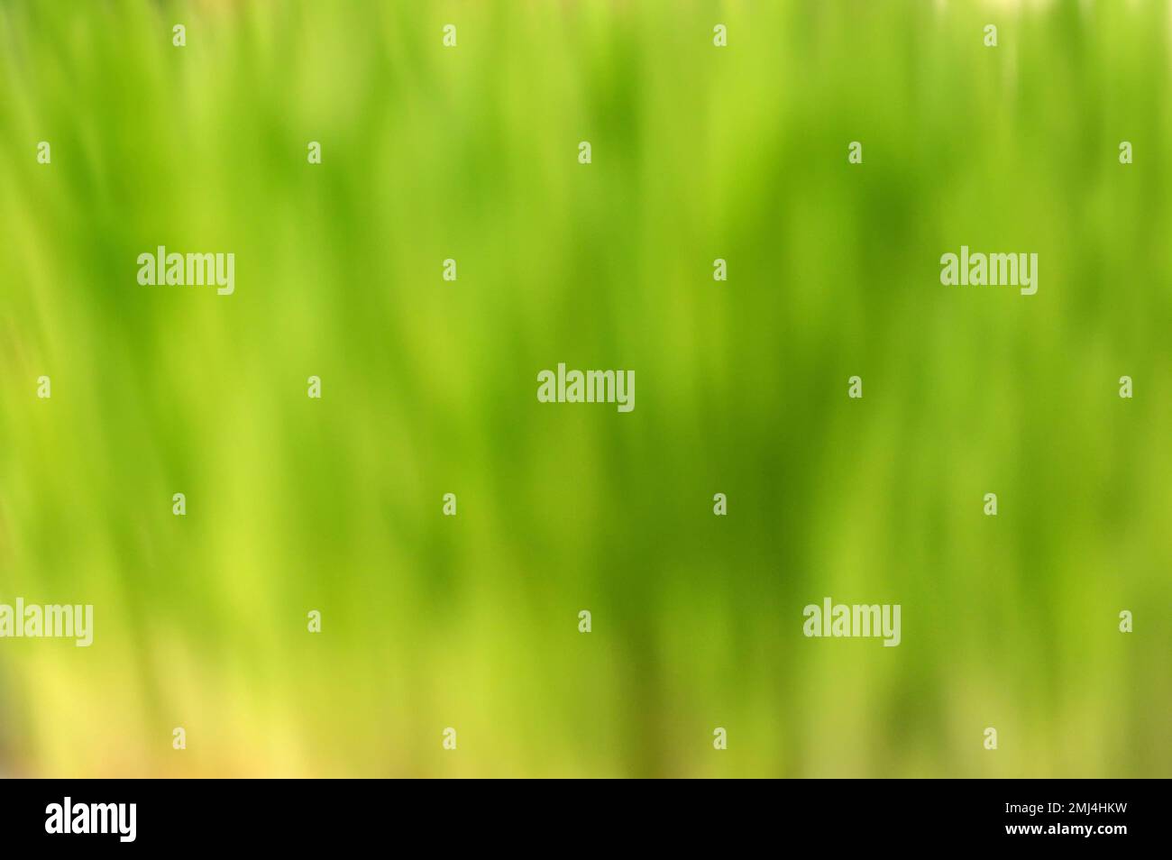 Abstract green grass background. Nature concept.colourful Stock Photo ...