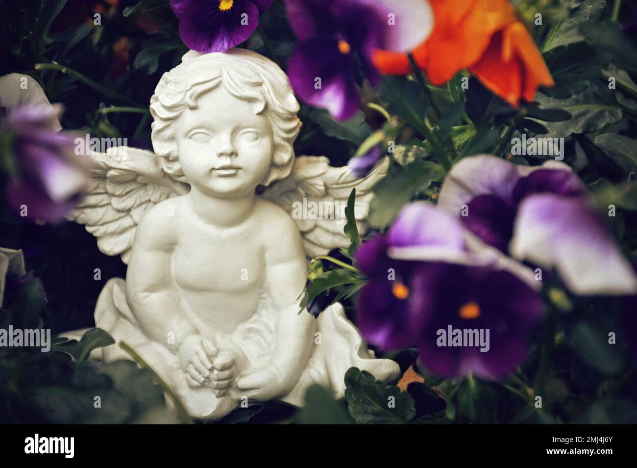 Condolence card with little angel and flowers Stock Photo - Alamy