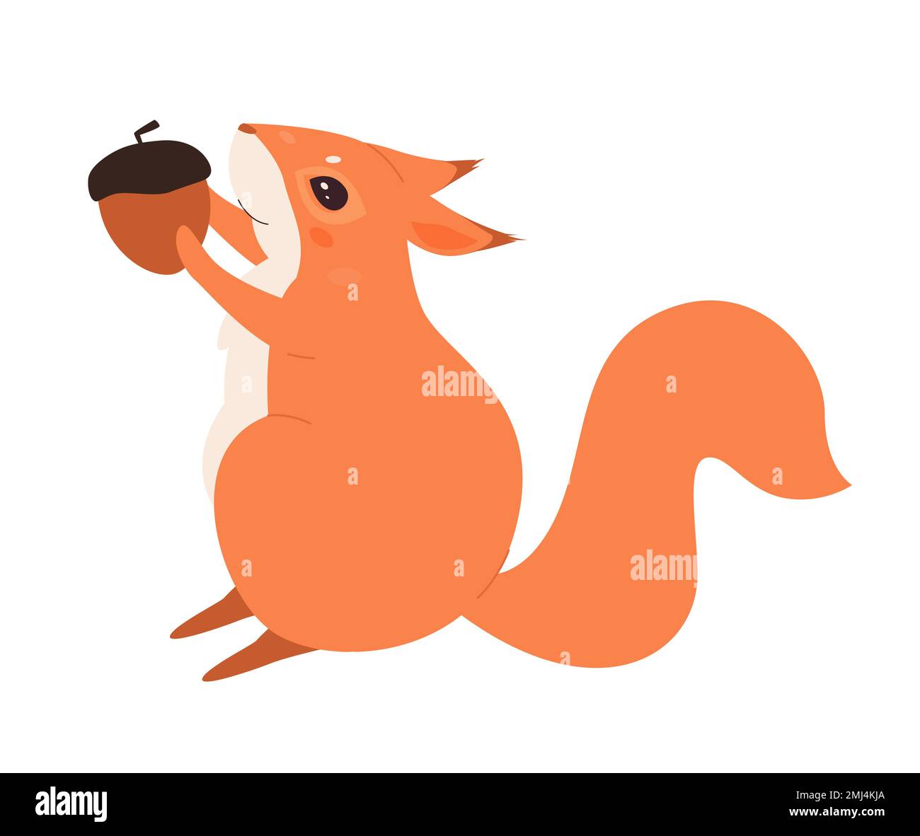 Wild squirrel eating nut. Wildlife forest fauna, rodent with fluffy ...