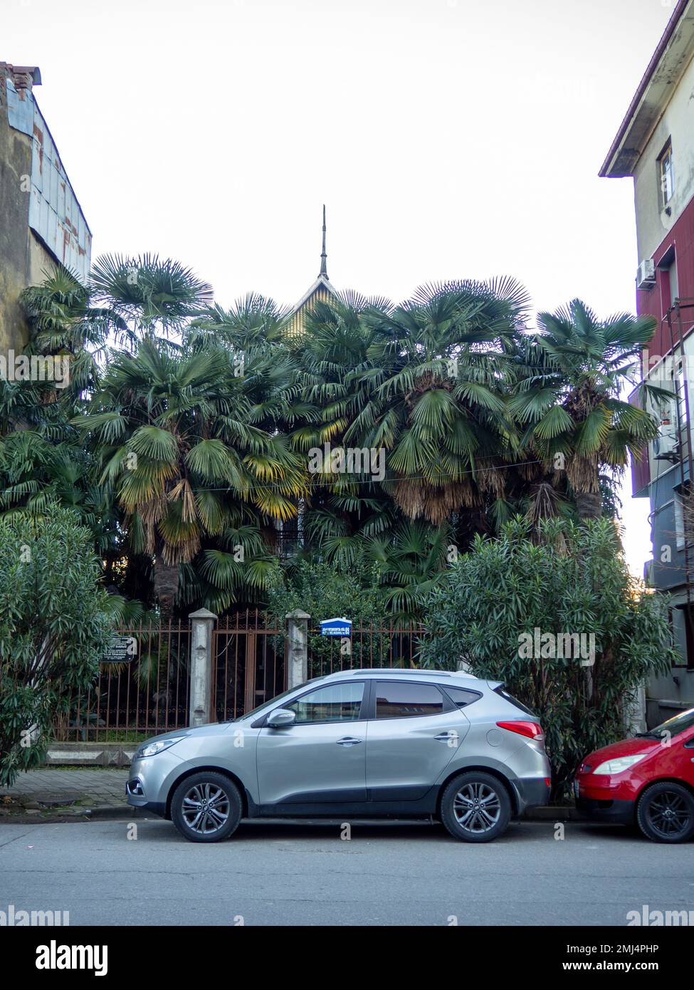 House overgrown with palm trees. House of a famous person. Forgotten ...