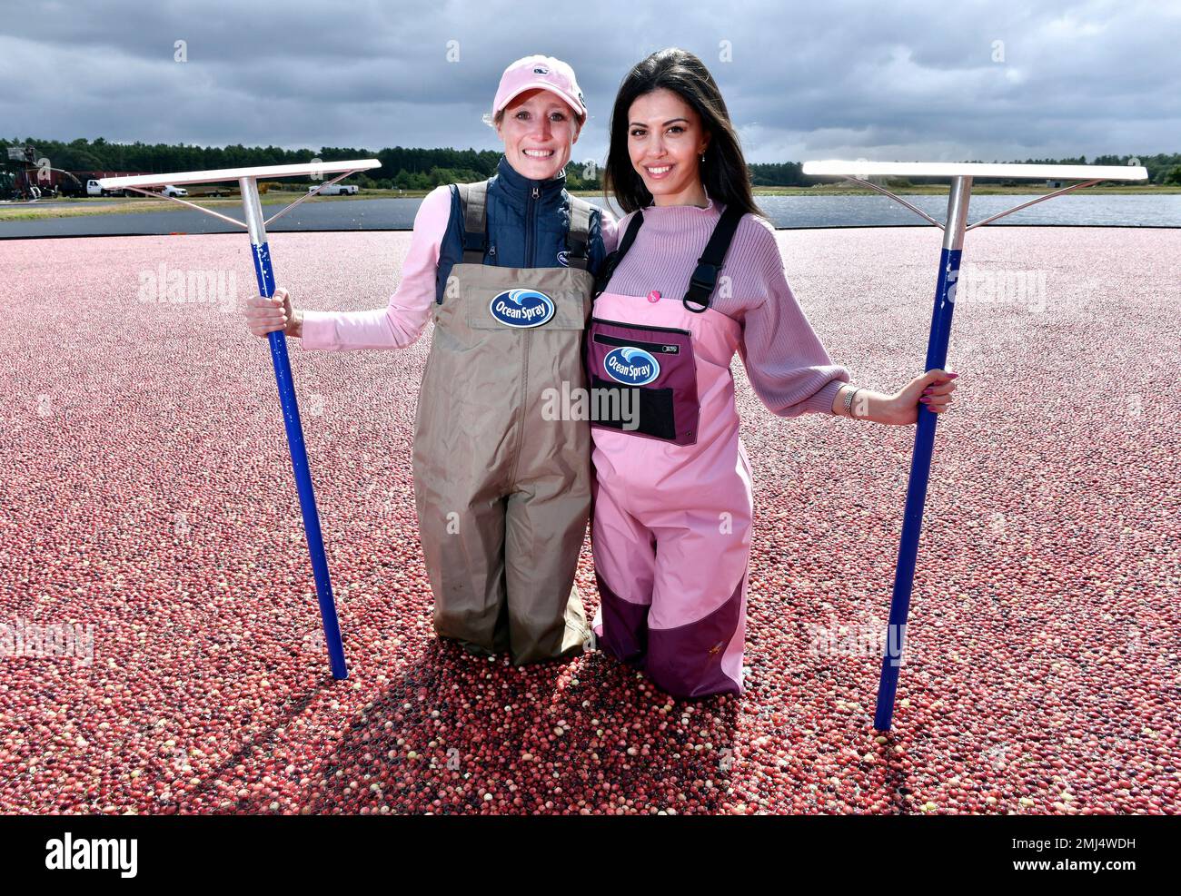 IMAGE DISTRIBUTED FOR OCEAN SPRAY - From left, Ocean Spray Farmer-Owner ...