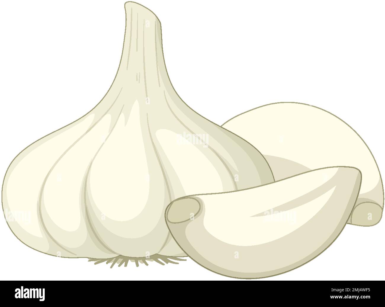 Garlic in cartoon style isolated illustration Stock Vector Image & Art ...