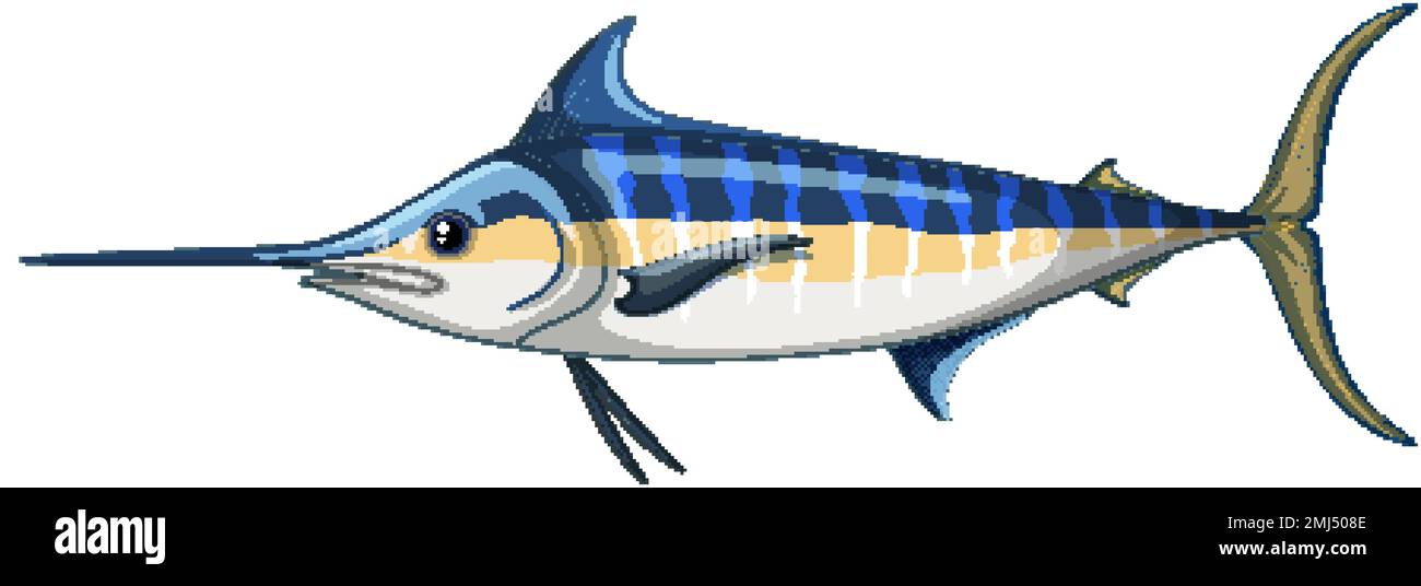 Atlantic blue marlin on white background illustration Stock Vector ...