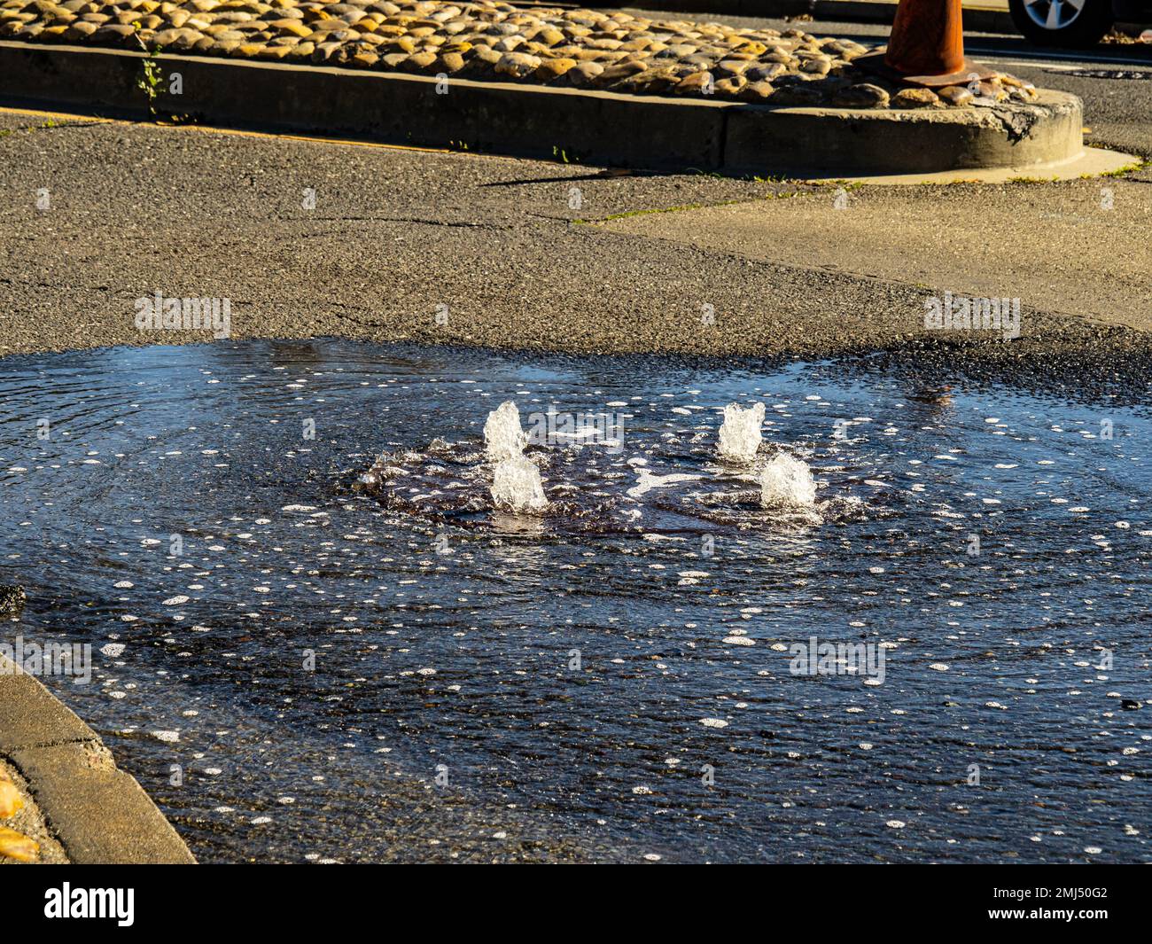 The King tide on January 22 2023 Chinese New Year backs up through the ...