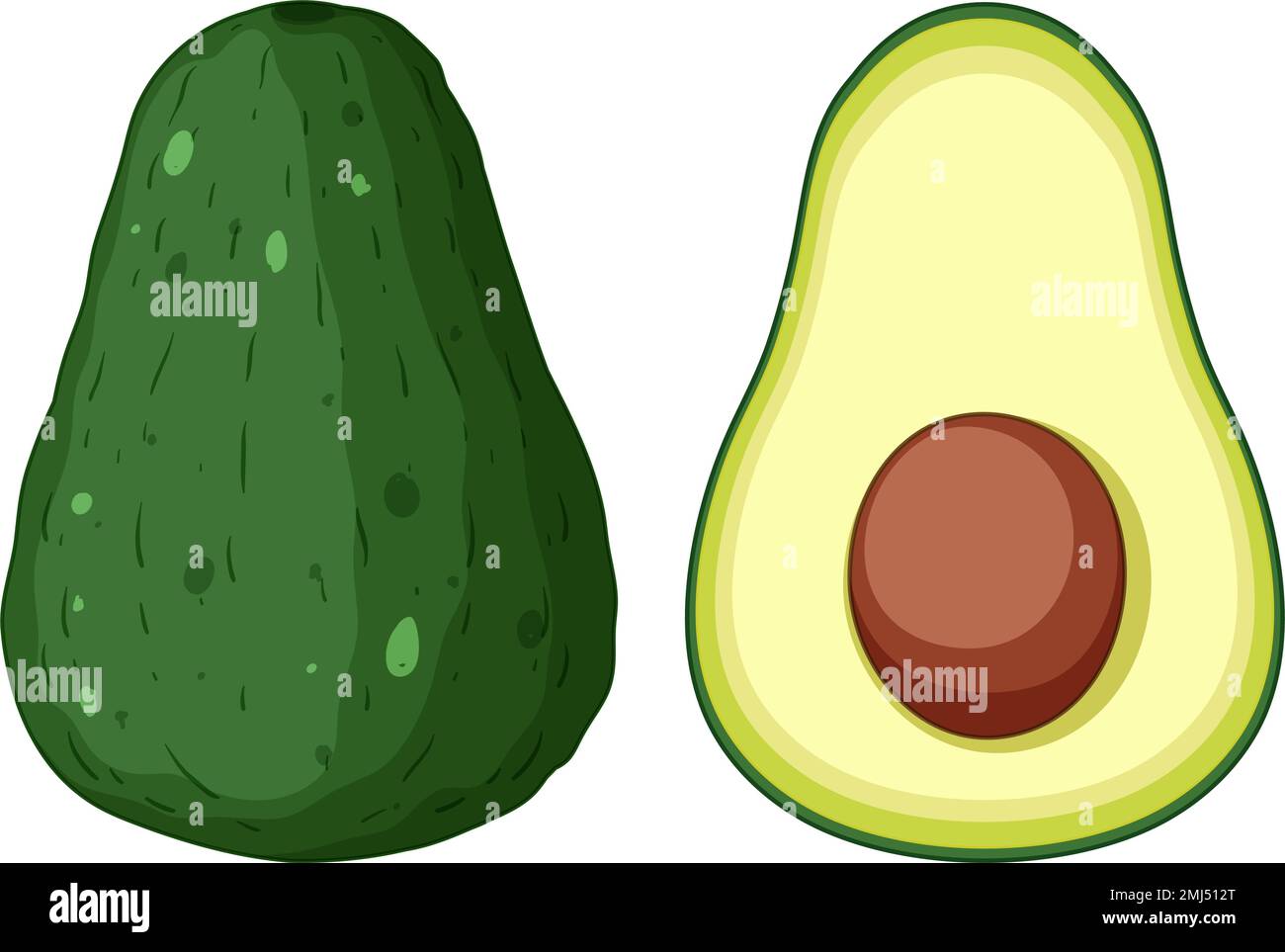 Whole of avocado and half of avocado illustration Stock Vector Image ...