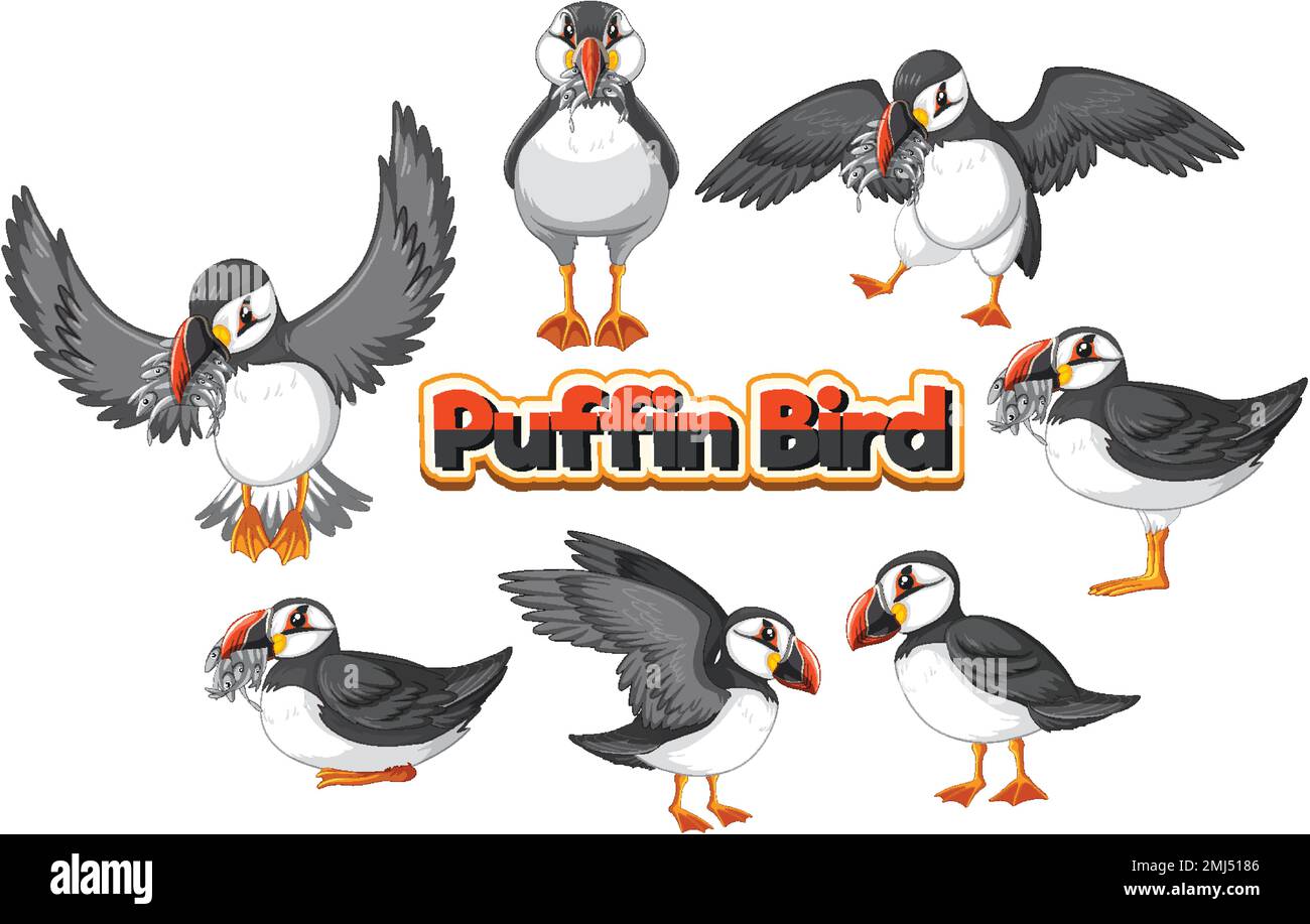 Atlantic puffin group Stock Vector Images - Alamy