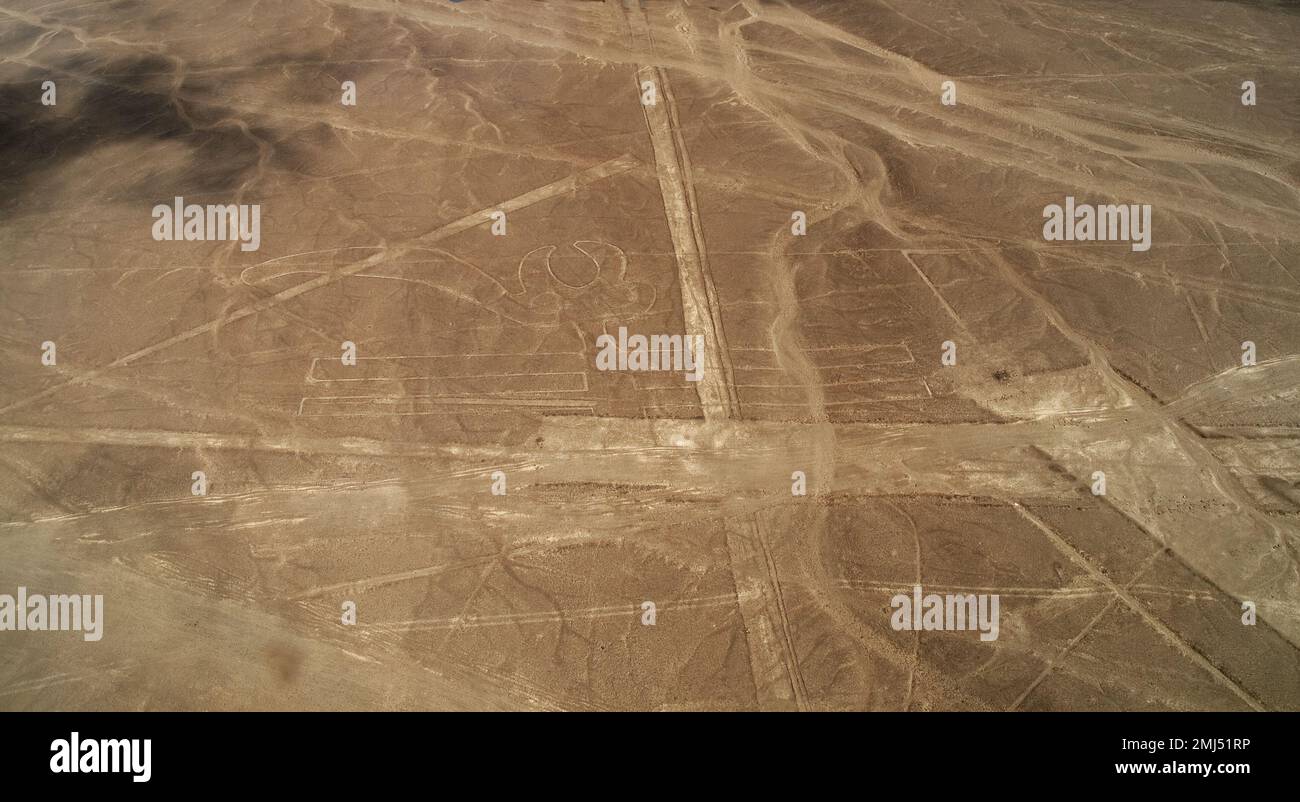 Unesco Heritage: Lines and Geoglyphs of Nazca, Peru - Perlican Stock ...