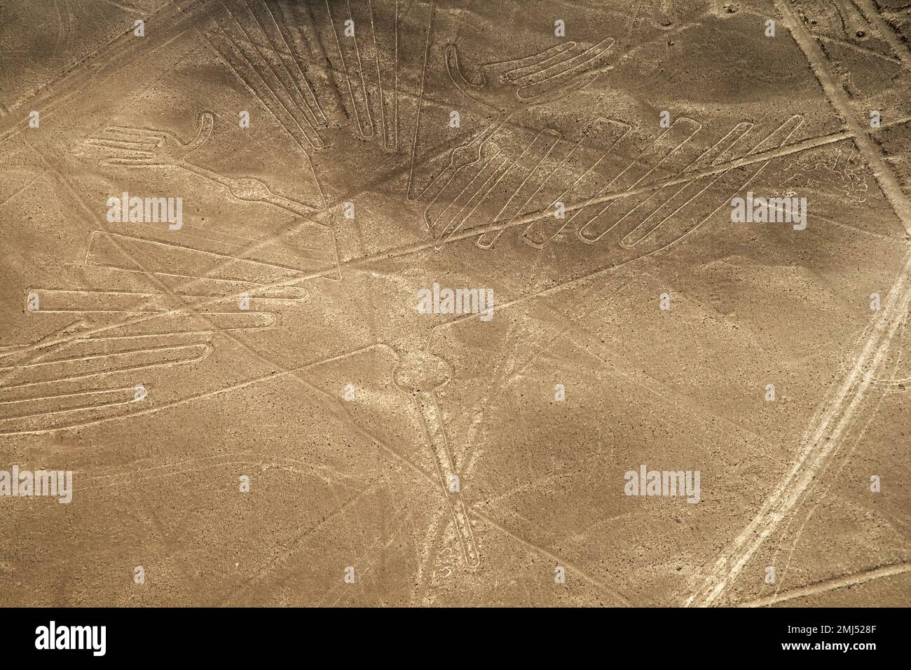 Unesco Heritage: Lines and Geoglyphs of Nazca, Peru - Condor Stock ...