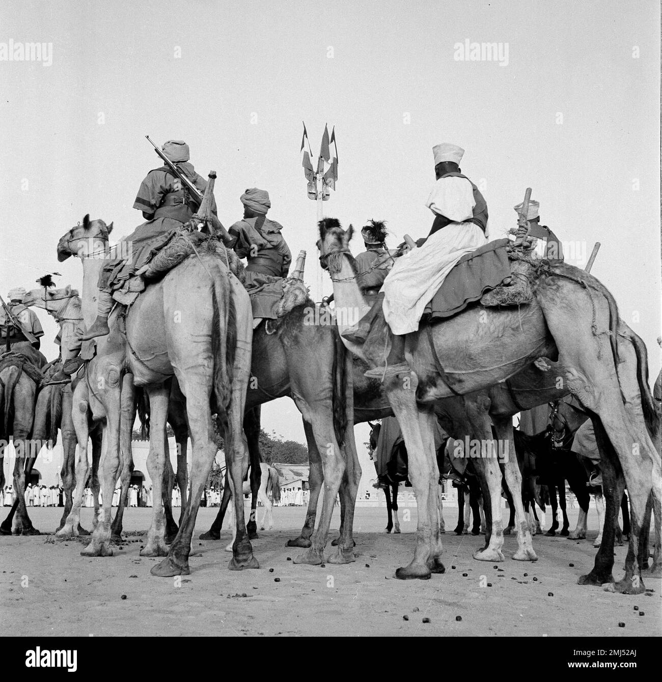 African camel corps troops form part of the garrison of a "Fighting ...