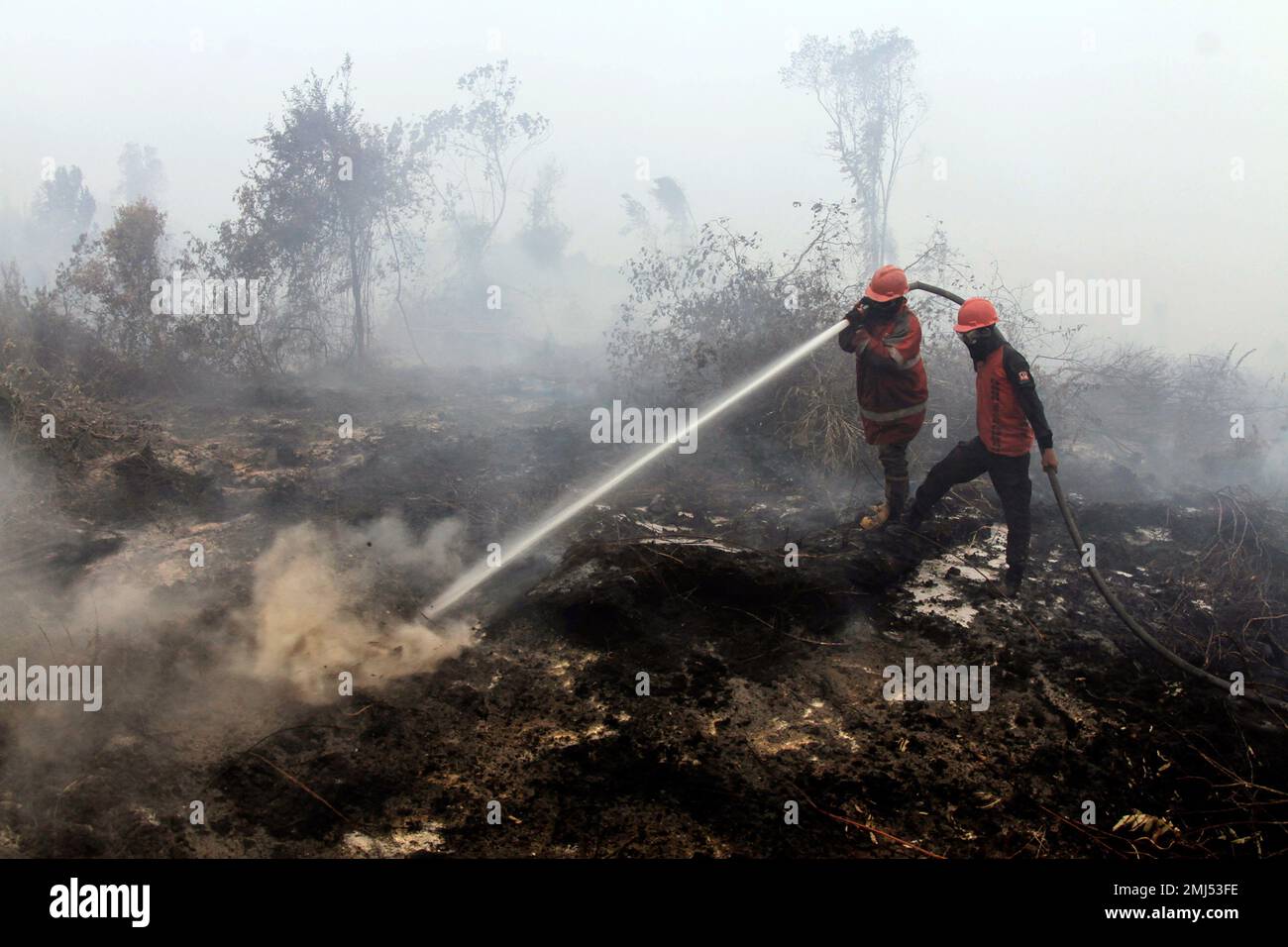 Fire fighters spray water to extinguish forest fire in Kampar, Riau ...