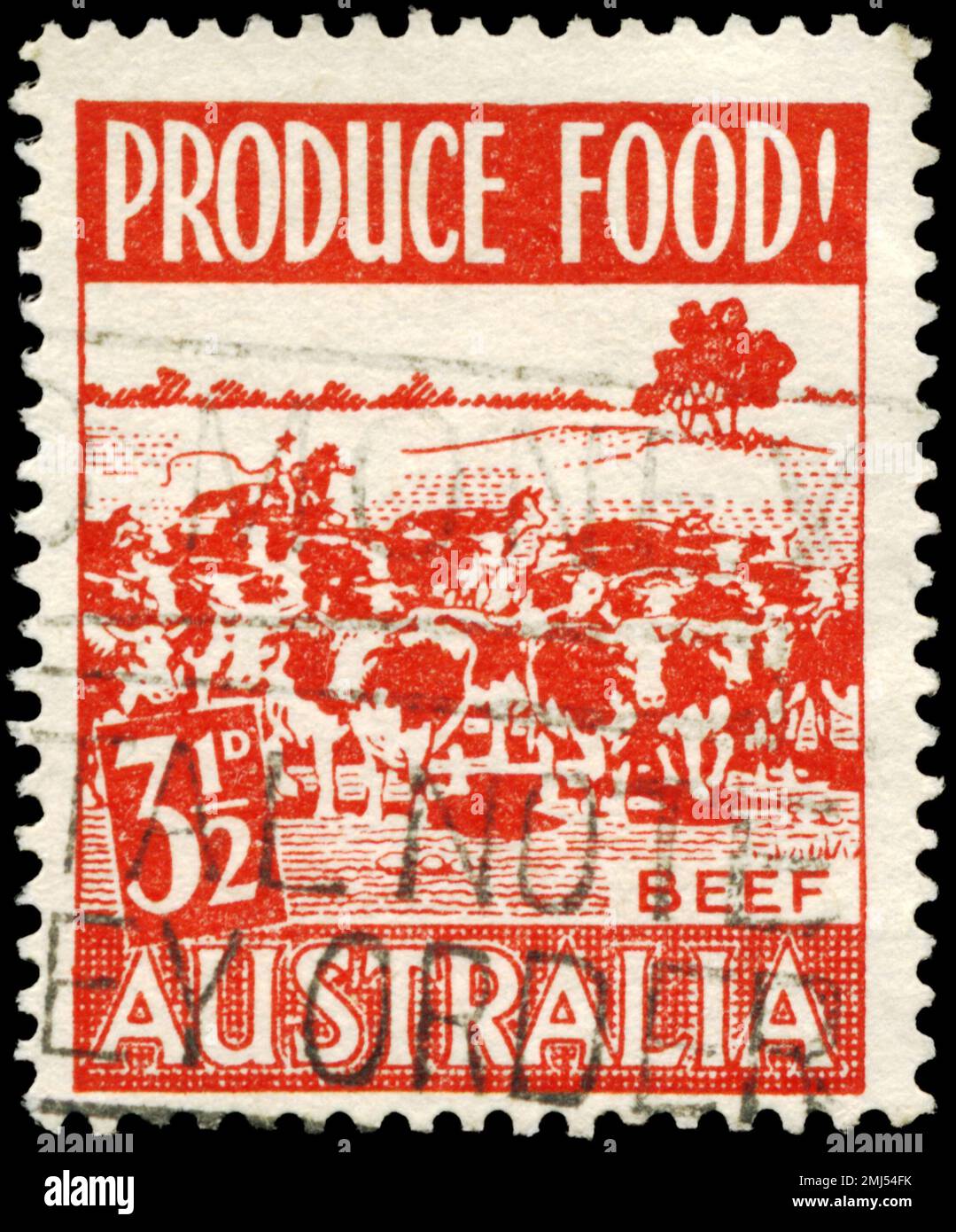 AUSTRALIA - CIRCA 1953: A Stamp printed in AUSTRALIA shows the Cattle ...