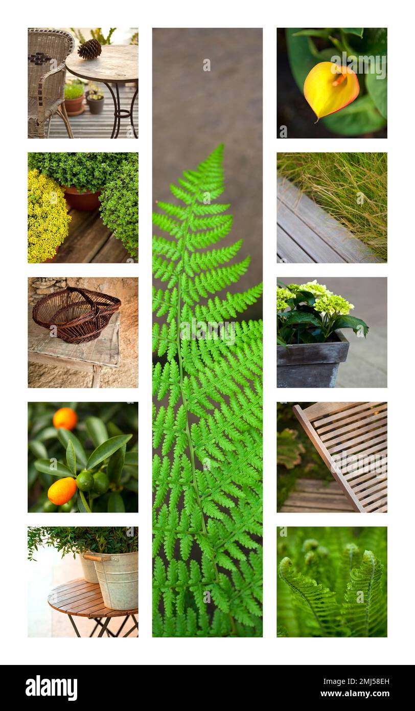 Collage of flowers and plants on terraces in Spring Stock Photo - Alamy