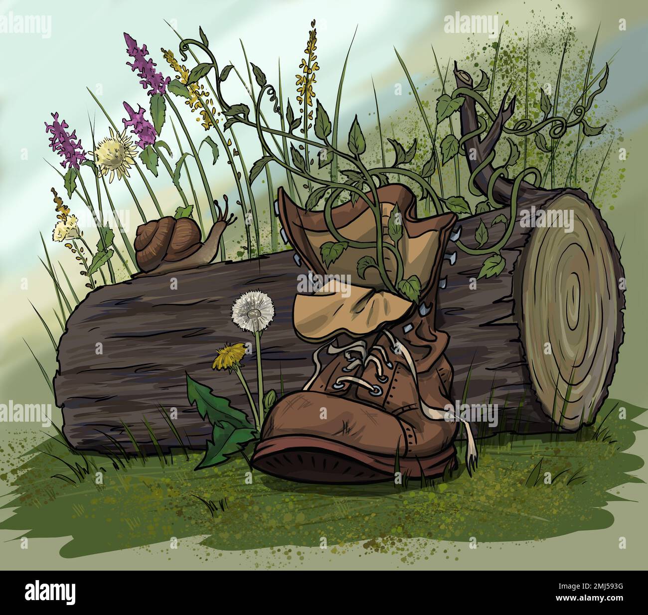 Lost shoe illustration in the forest. High quality illustration Stock ...