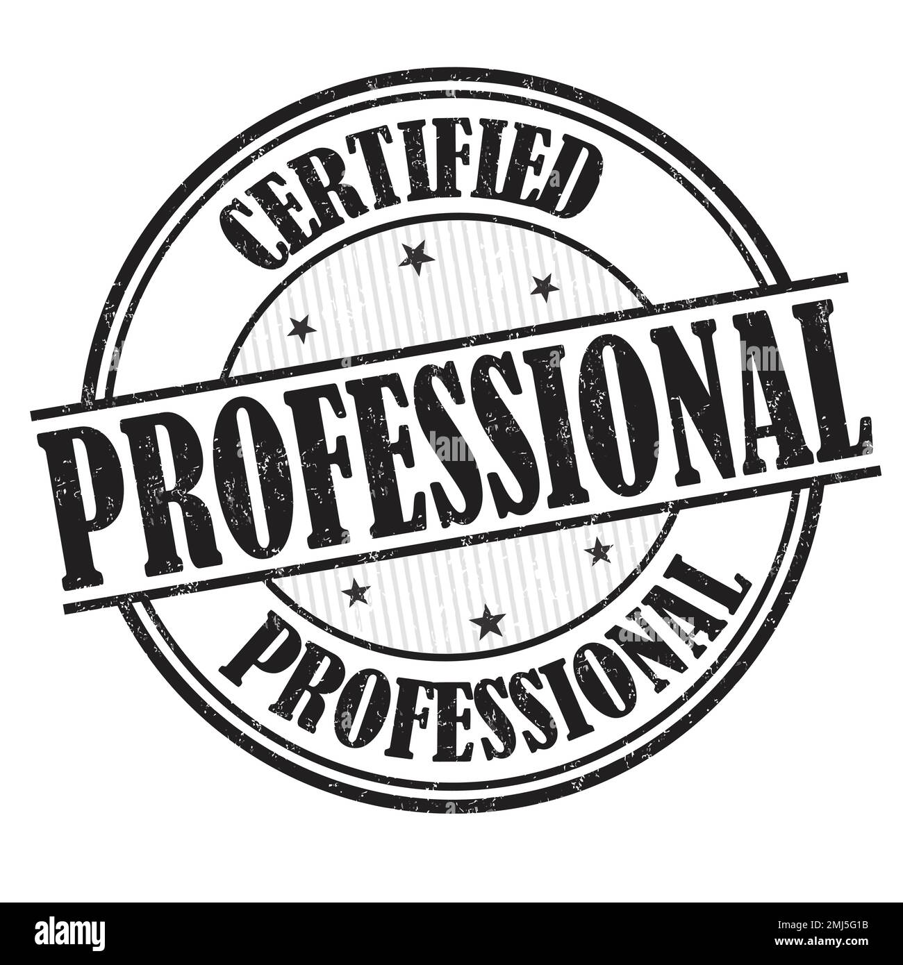 Professional grunge rubber stamp on white background, vector ...