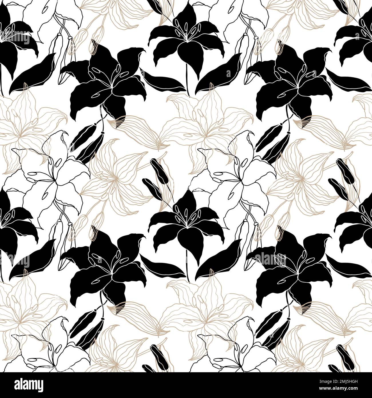 Lilly hand drawn flower Stock Vector Image & Art - Alamy