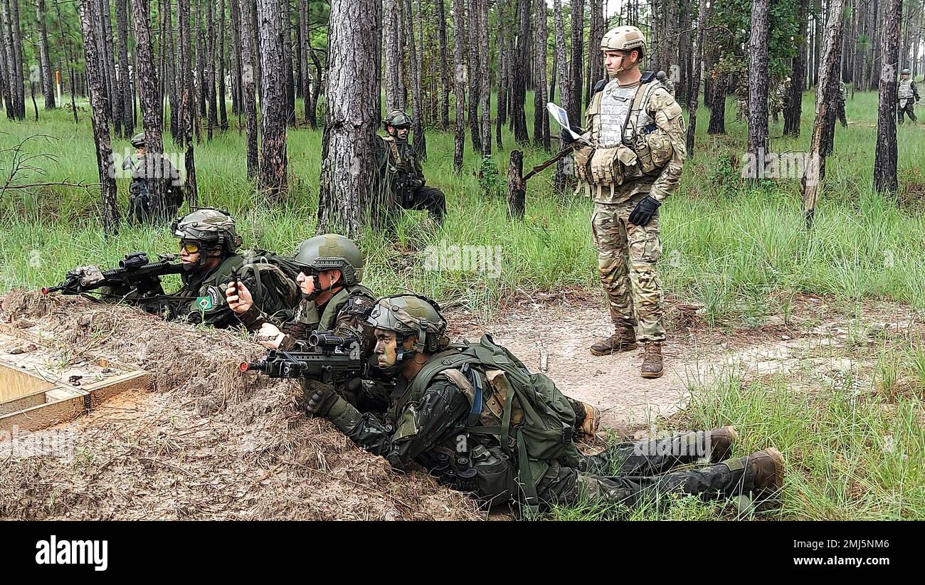Soldiers from the 3rd Company, 5th Light Infantry Battalion (Air Mobile ...