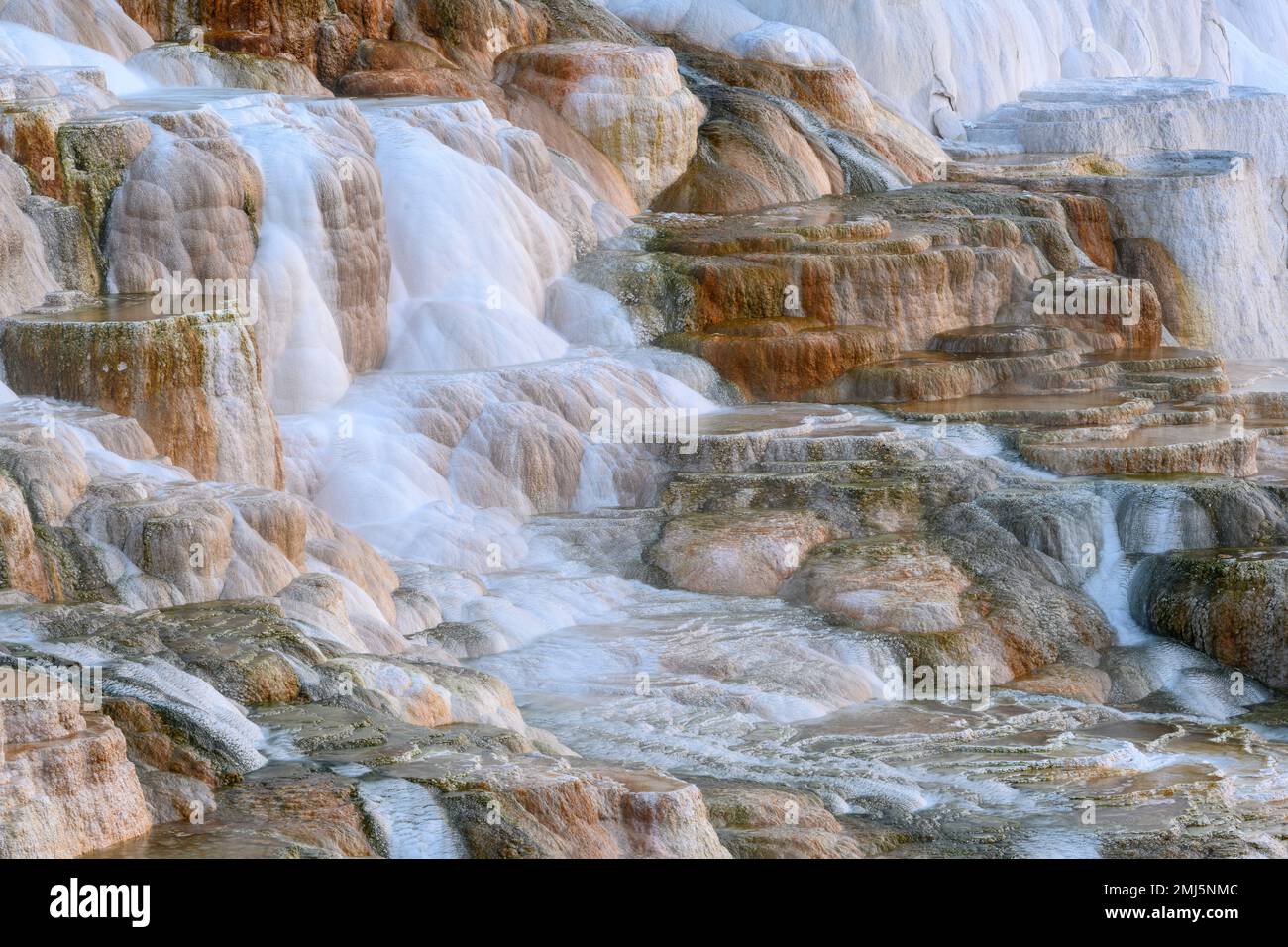 Travertine formations of Canary Spring at Upper Mammoth Terraces in ...