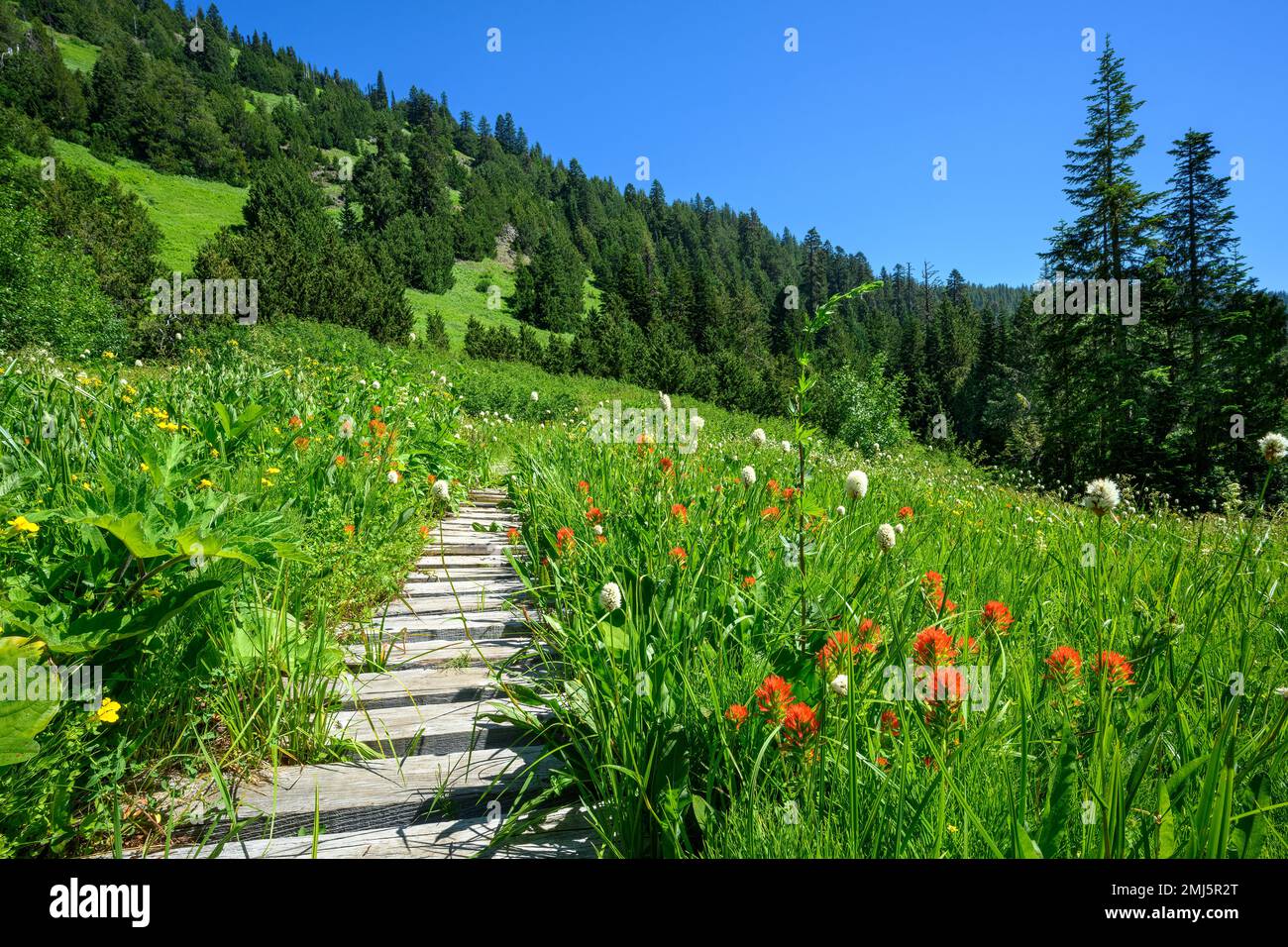 Echo basin trail hi-res stock photography and images - Alamy