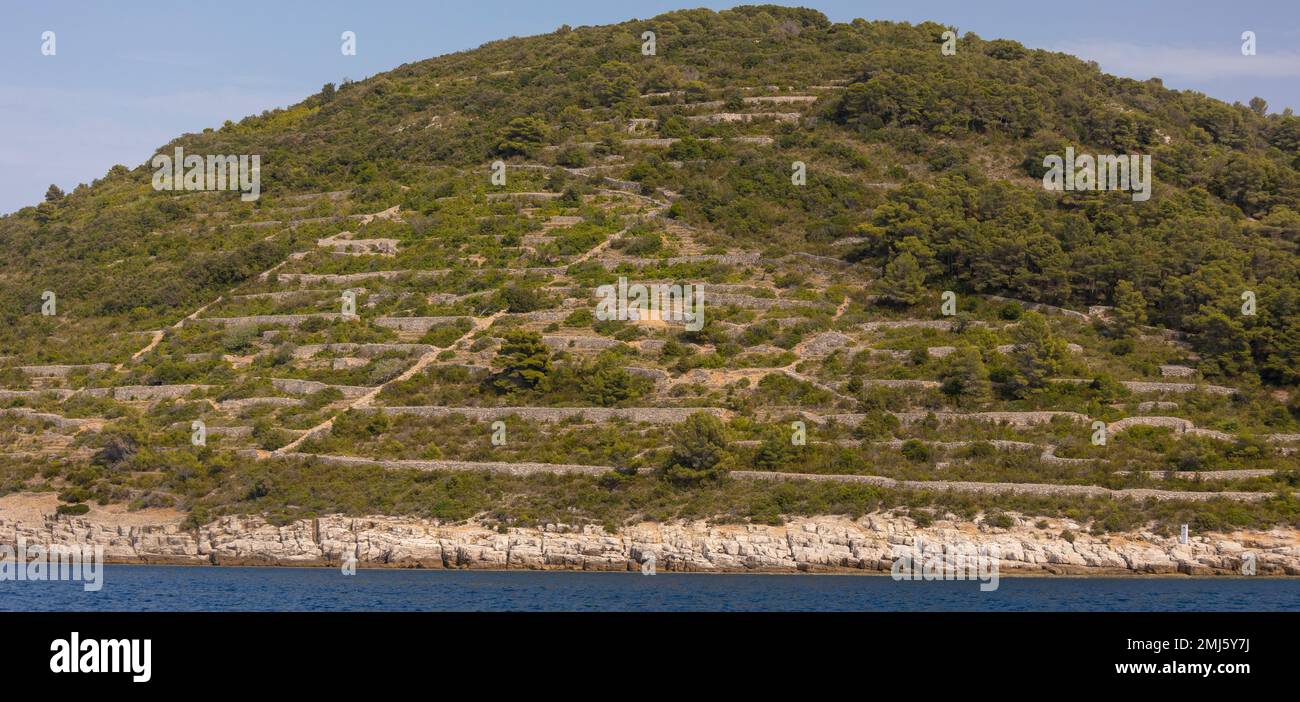 ISLAND OF VIS, CROATIA, EUROPE - Dry stone wall terracing on hiilside ...
