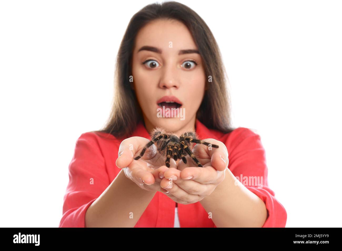 Scared young woman with tarantula on white background. Arachnophobia ...