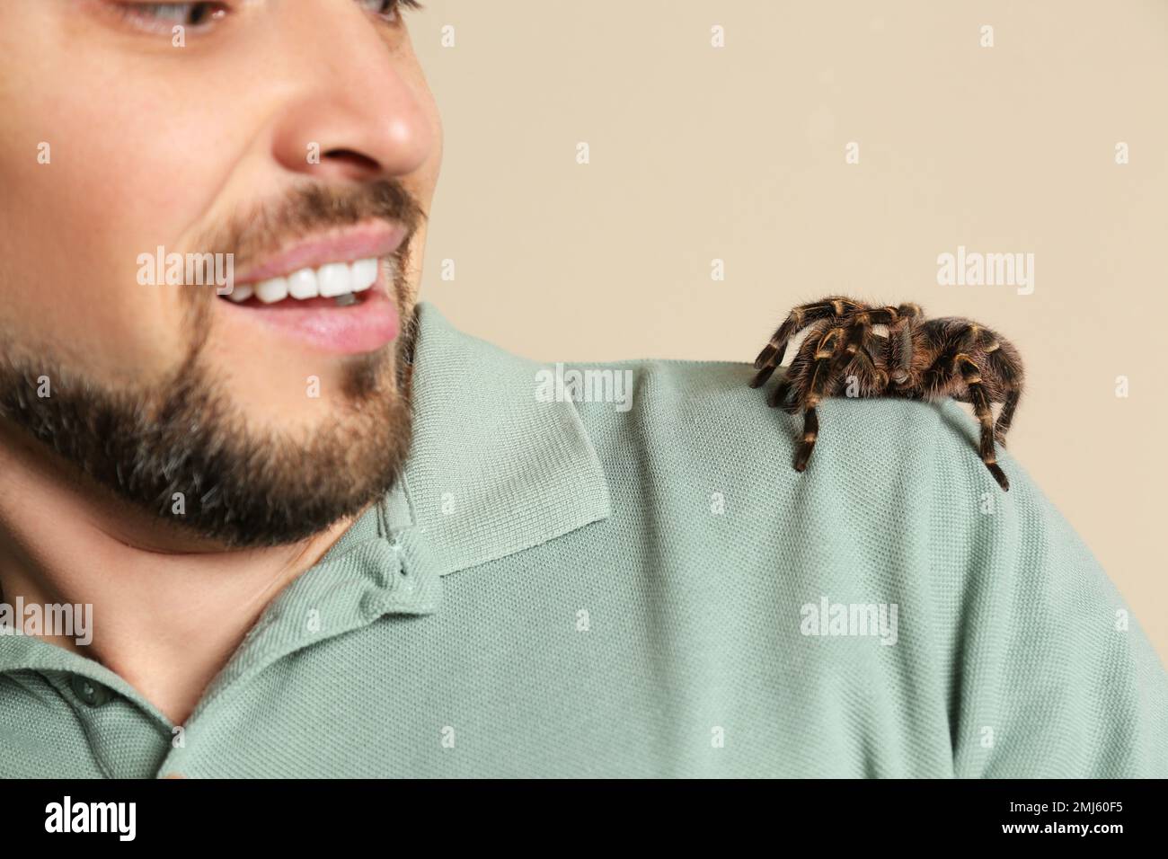 Scared man with tarantula on beige background, closeup. Arachnophobia ...