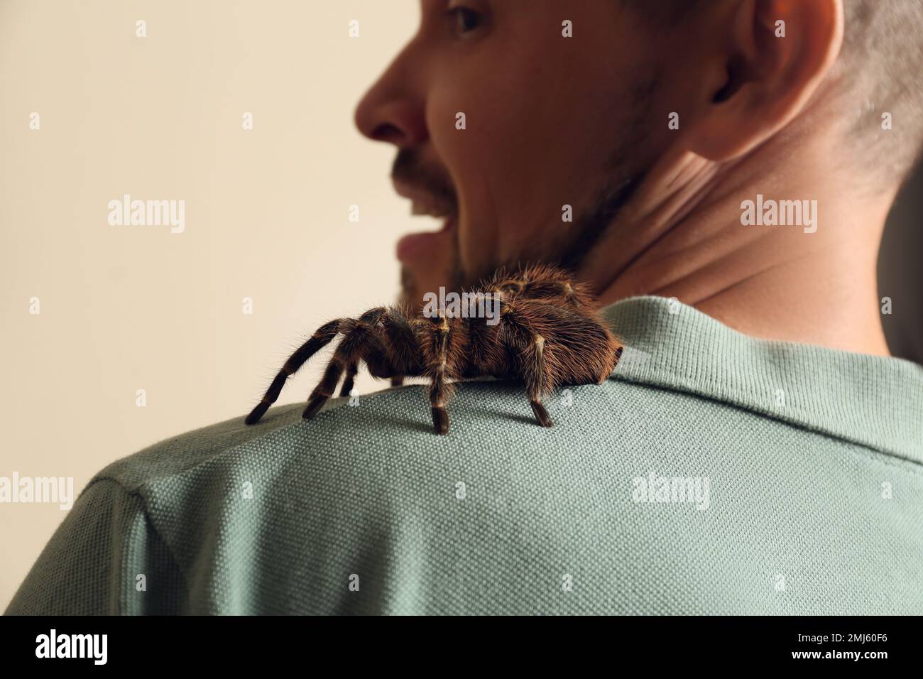 Scared man with tarantula on beige background, closeup. Arachnophobia ...