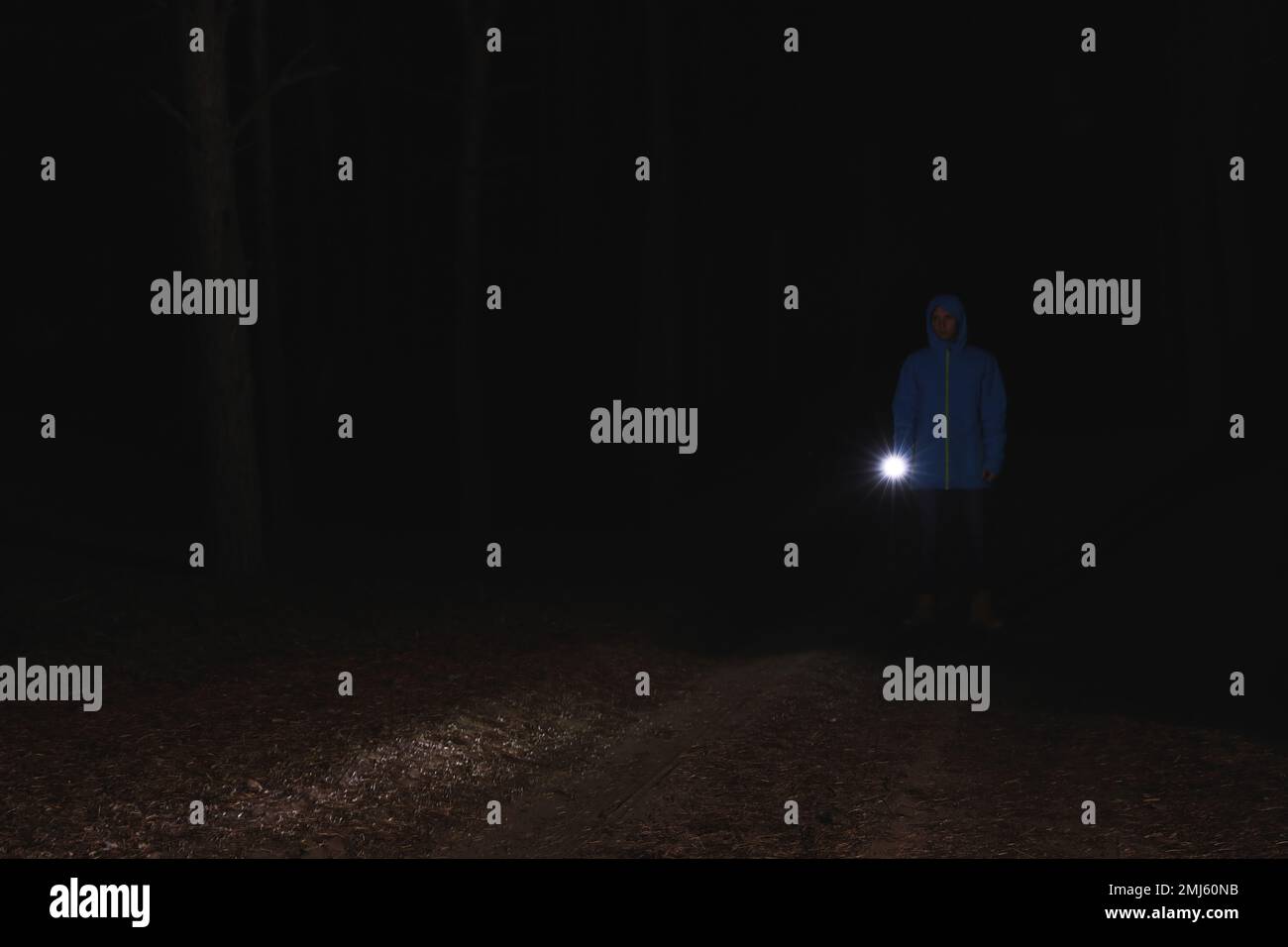 Man flashlight trees hi-res stock photography and images - Alamy