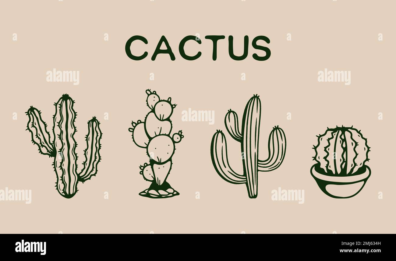 Cactus collection hand drawing Stock Vector Image & Art - Alamy