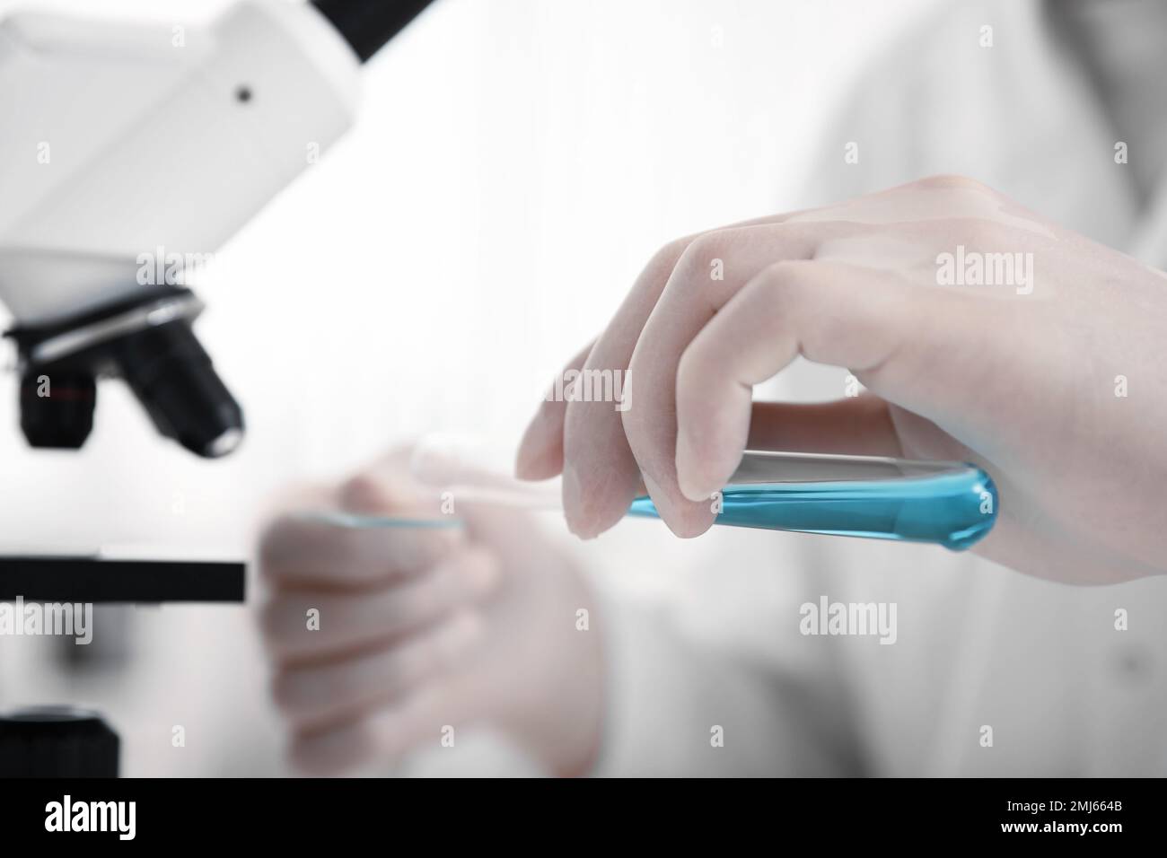 Scientist pouring blue liquid onto slide near microscope on table ...