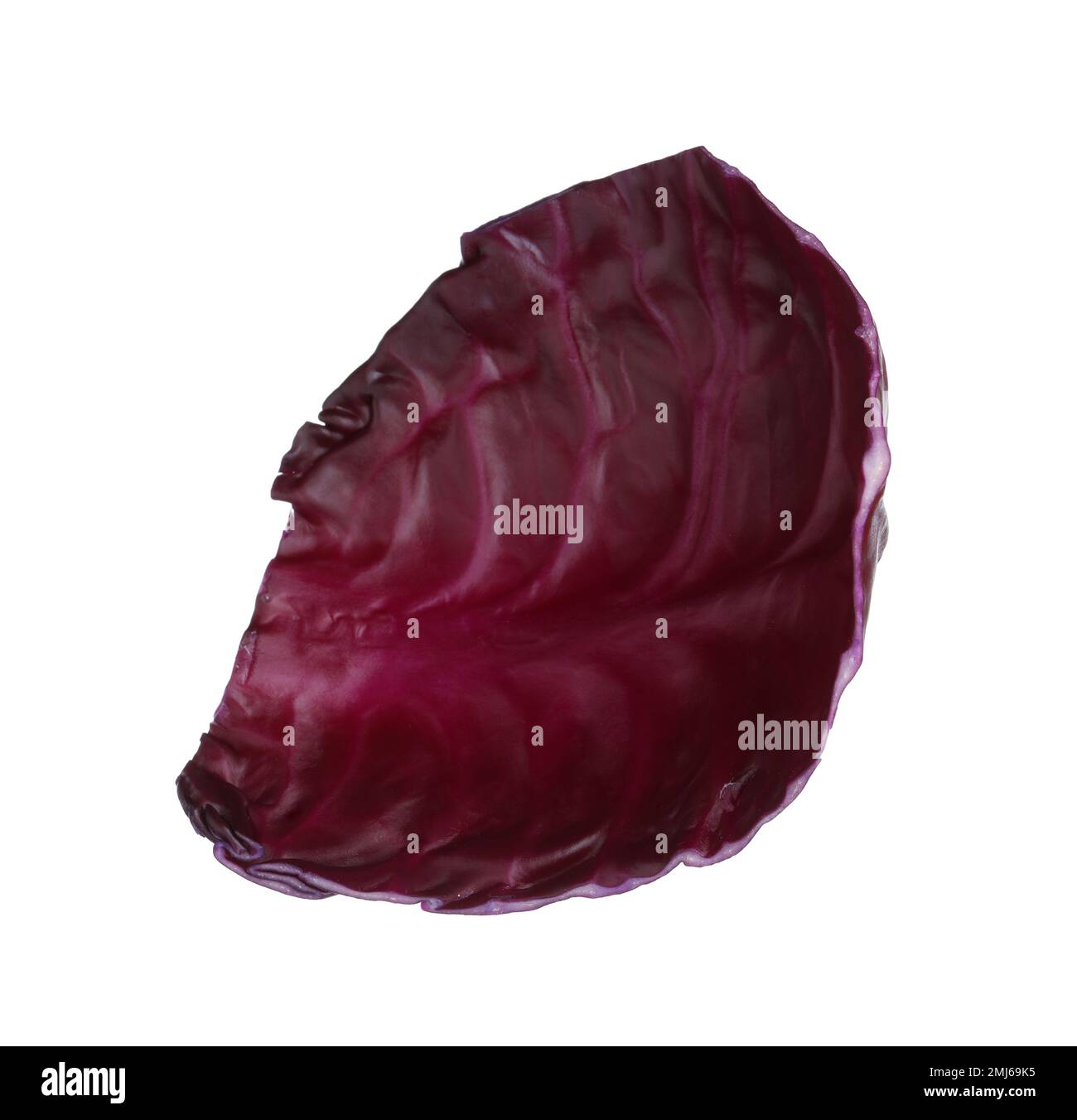Leaf of red cabbage isolated on white Stock Photo - Alamy