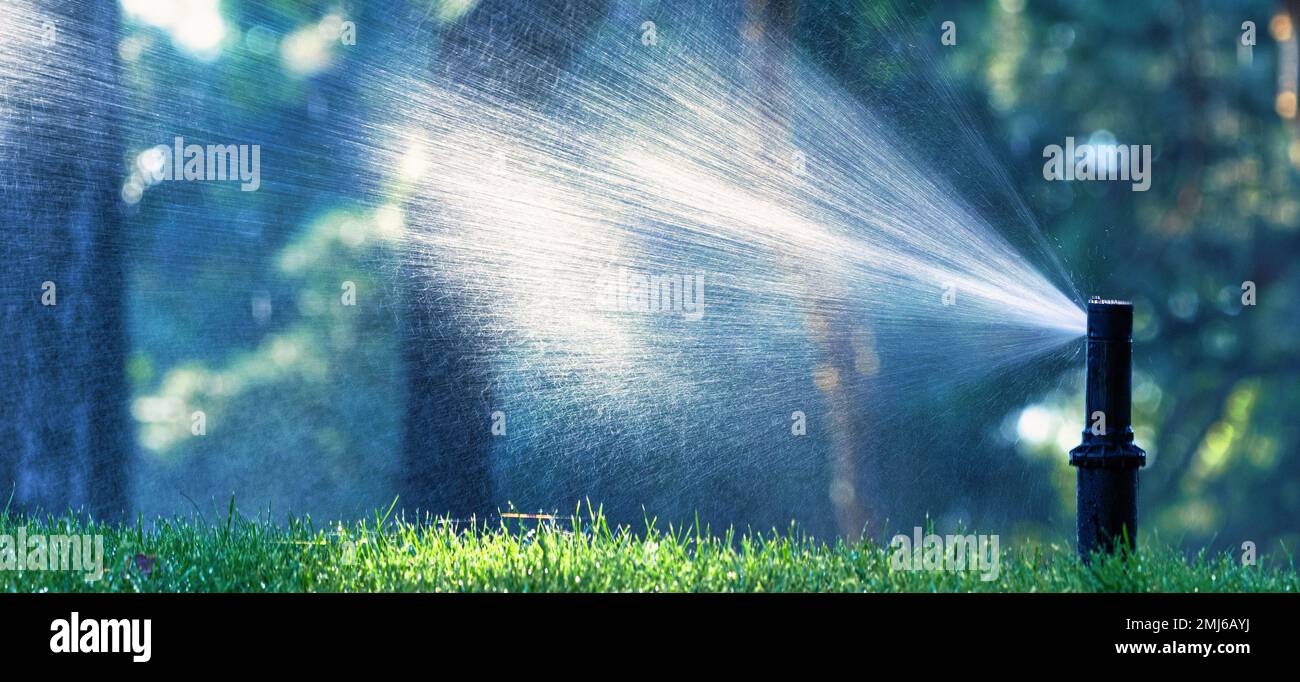 Automatic lawn watering system, watering the lawn in the backyard Stock ...