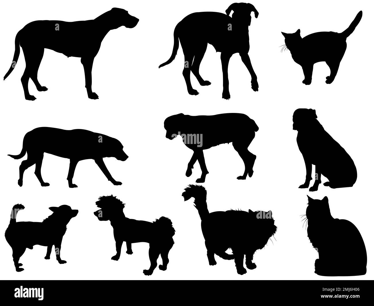 People dogs set Cut Out Stock Images & Pictures - Alamy