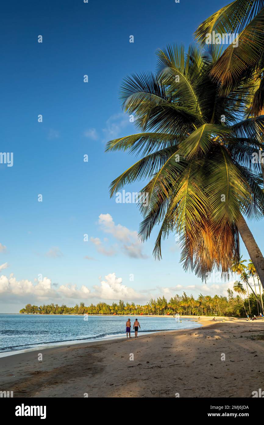 Palm trees and Luquillo Public Beach, Luquillo, Puerto Rico Stock Photo ...