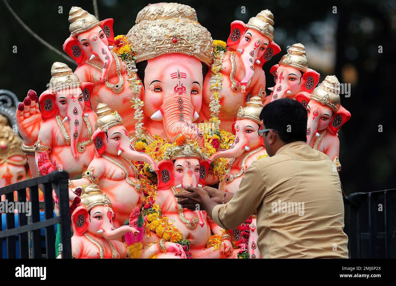 An Indian devotee offers prayers to an idol of elephant-headed Hindu ...